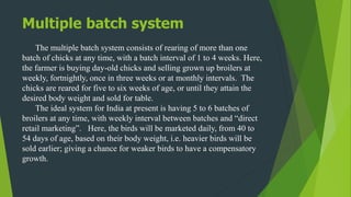 BROILER MANAGEMENT.pptx