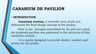 Canarium-de-pavilion a proposed pavilion | PPTX