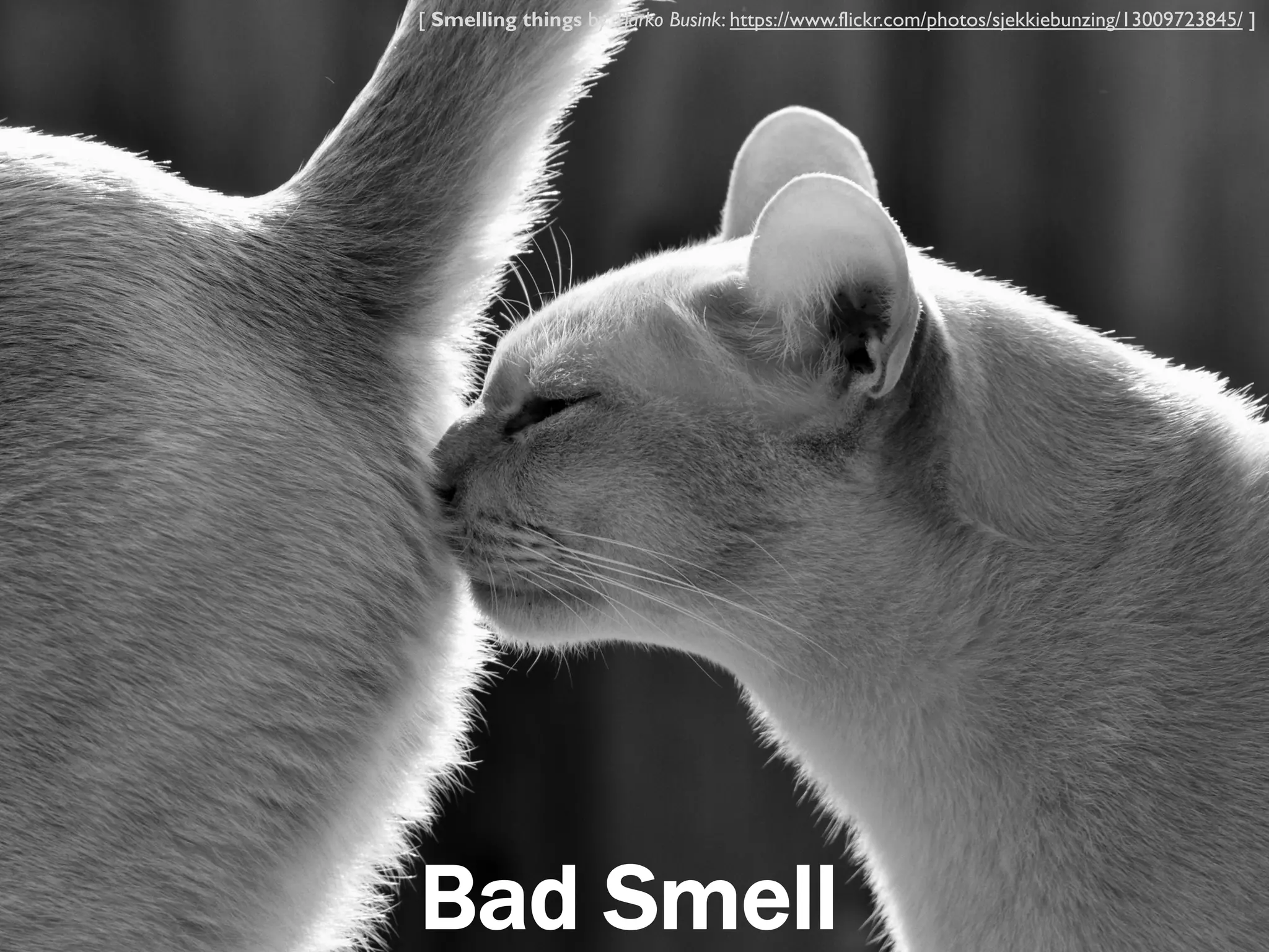 Can Automated Impact Analysis Technique Help Predicting Decaying Modules? | PDF | Technology ...