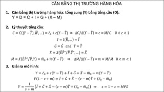 Can bang tong hop trong ngan han--James Riedel-2015-10-30-09201142.pdf