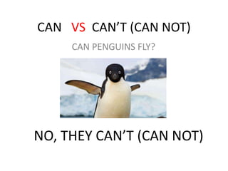 Can cant plus worksheet | PPTX