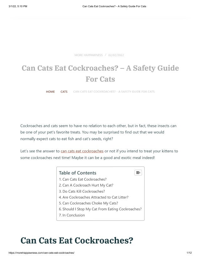 Can cats eat cockroaches - A safety guide for cats | PDF
