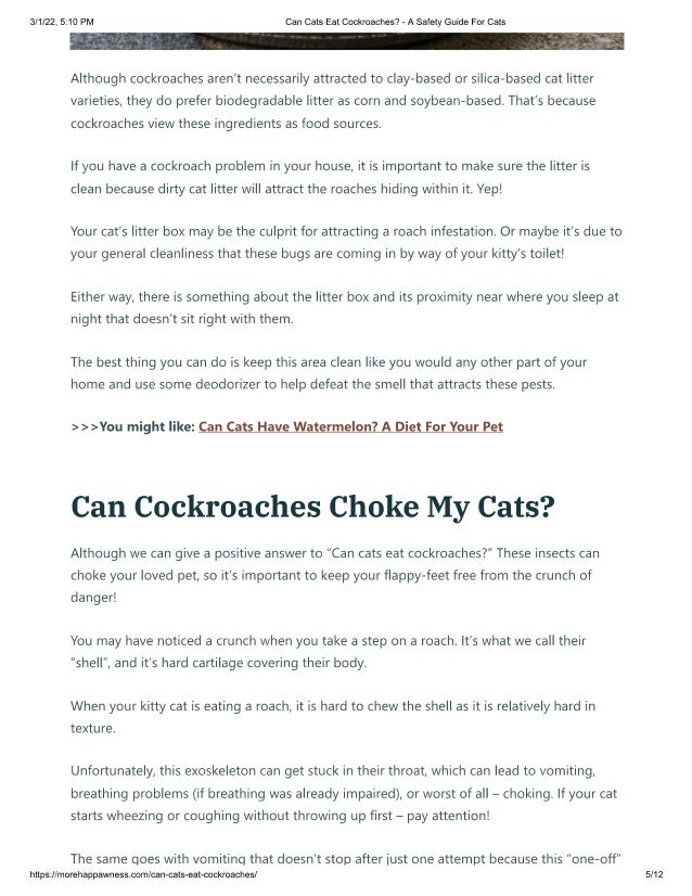 Can cats eat cockroaches - A safety guide for cats | PDF