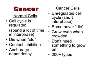 Cancer | PPT