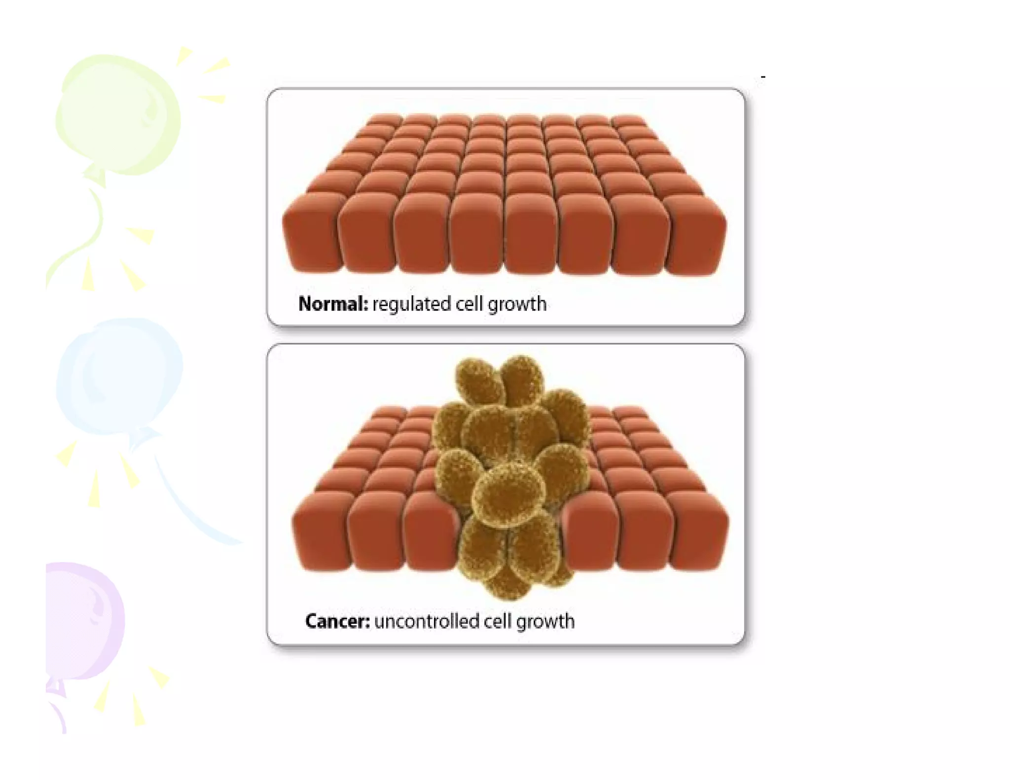 Cancer and its types - an introduction to cancer | PDF