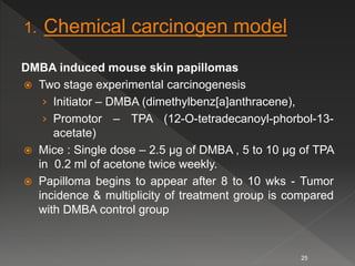 SCREENING OF ANTI CANCER DRUGS | PPTX