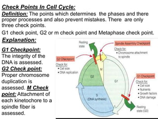 Cancer | PPTX | Cancer | Diseases and Conditions