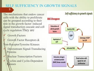 Cancer and anti neoplastic agents | PPTX