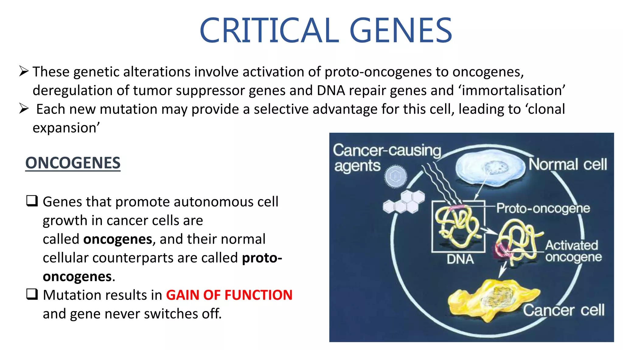 Molecular Genetics of Cancer | PPTX