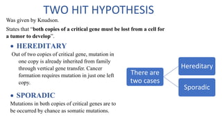 Molecular Genetics of Cancer | PPTX