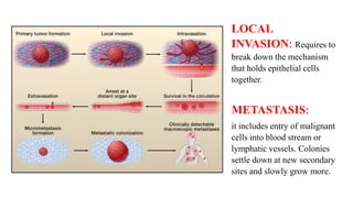 Molecular Genetics of Cancer | PPTX