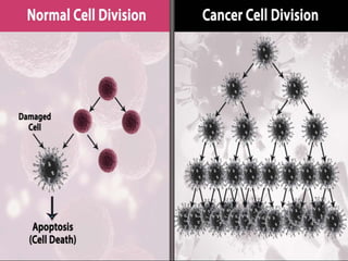 Cancer - Types ,spread and properties | PPTX