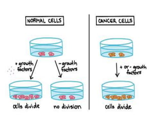 Cancer - Types ,spread and properties | PPTX