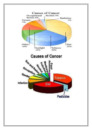 Causes Of Cancer Pie Chart