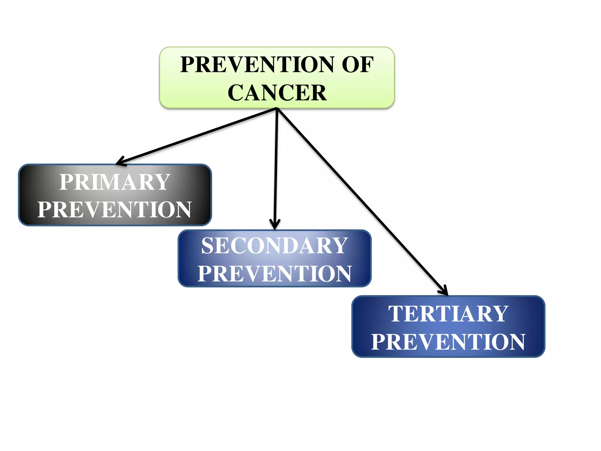 Cancer | PDF