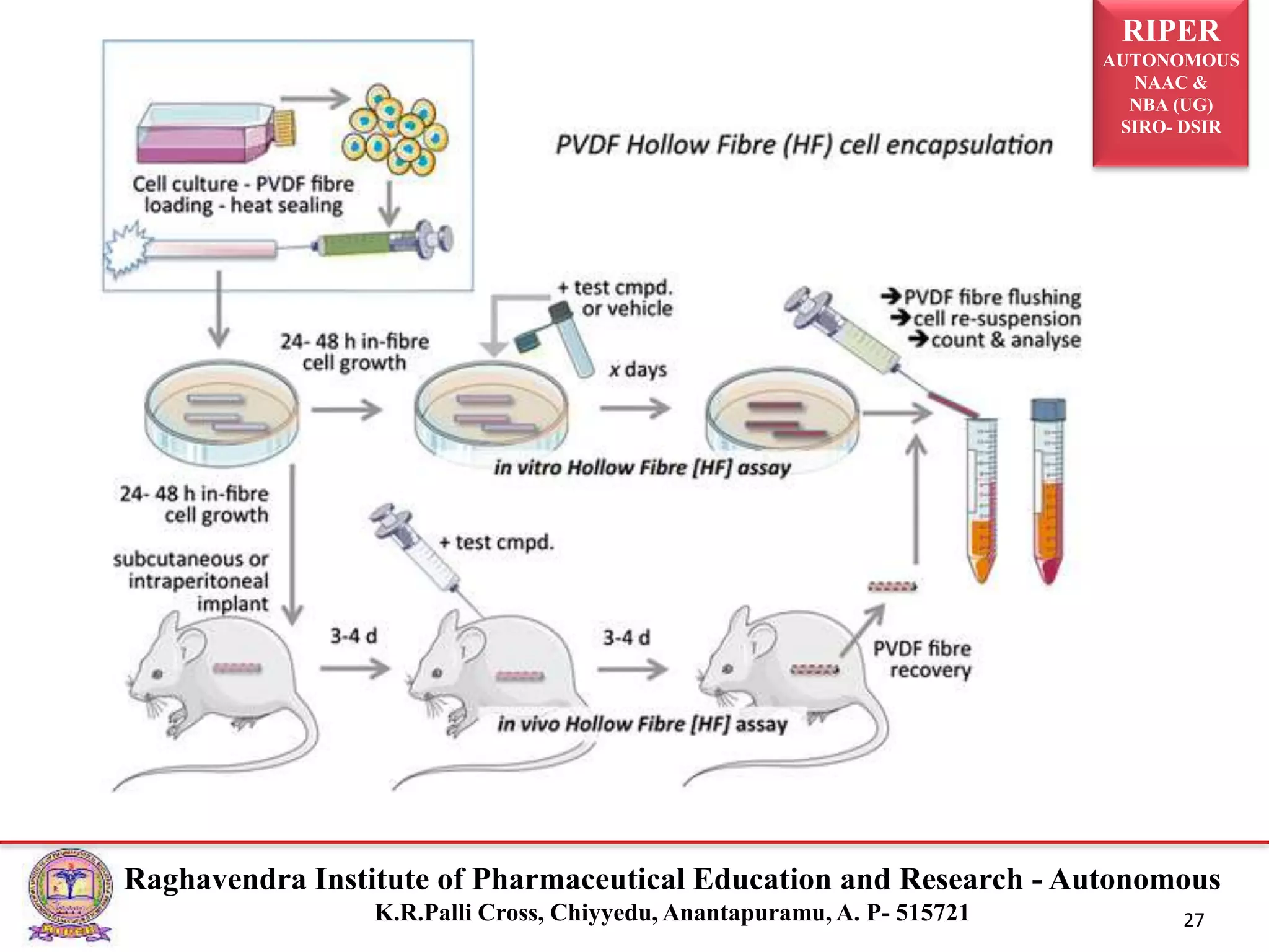 Screening Models Of Anti Cancer Drugs | PPTX