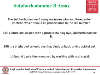 Screening Models Of Anti Cancer Drugs | PPTX