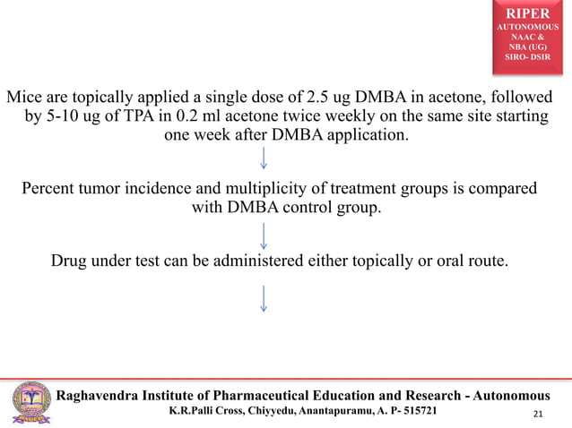 Screening Models Of Anti Cancer Drugs | PPTX | Cancer | Diseases and ...