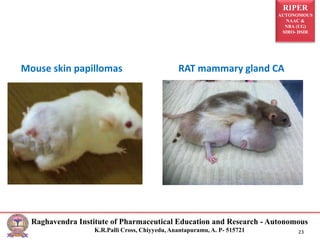 Screening Models Of Anti Cancer Drugs | PPTX