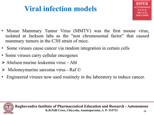 Screening Models Of Anti Cancer Drugs | PPTX | Cancer | Diseases and ...