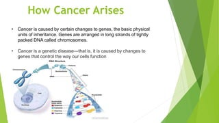 Cancer.pptx | Cancer | Diseases and Conditions