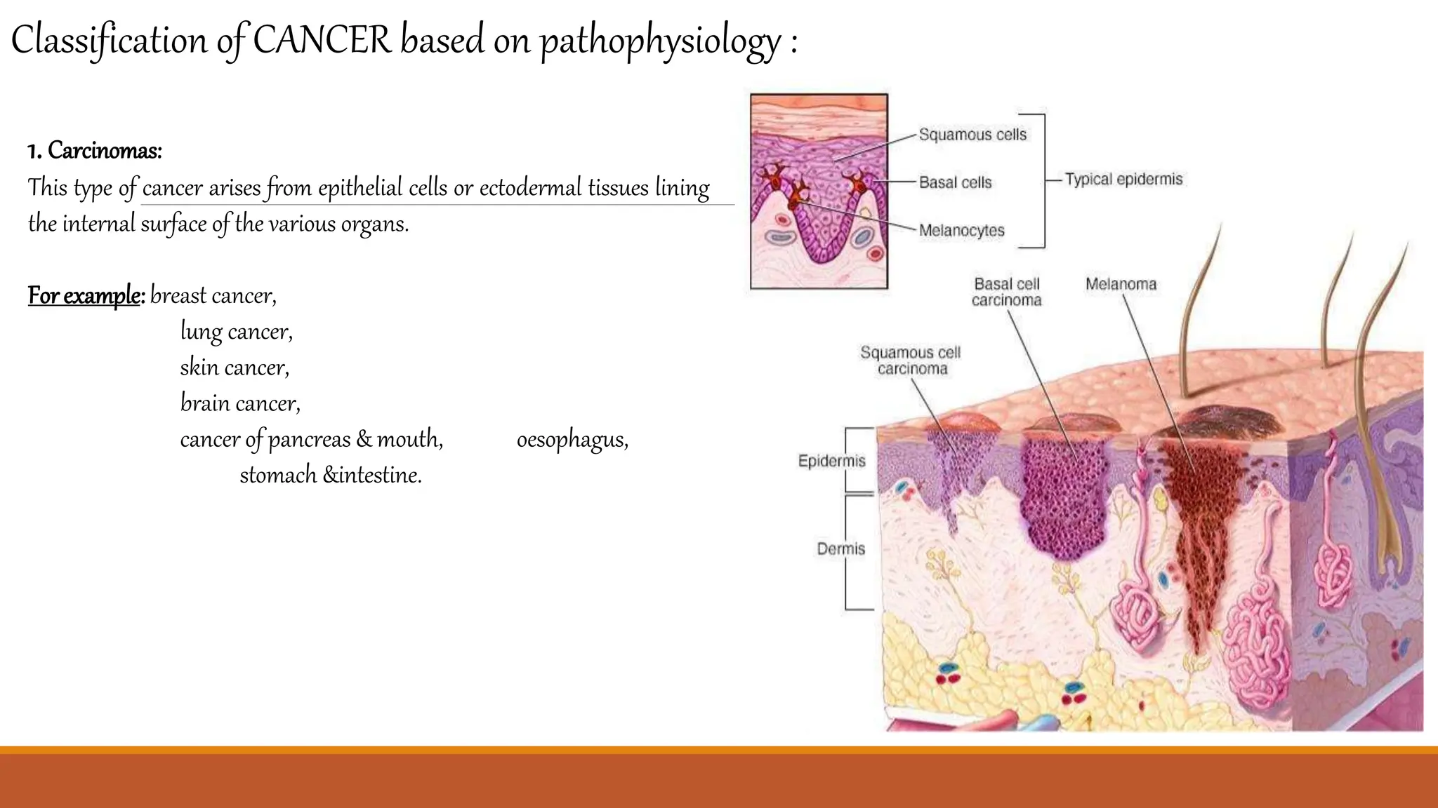 Introduction & Description on Cancer.pptx