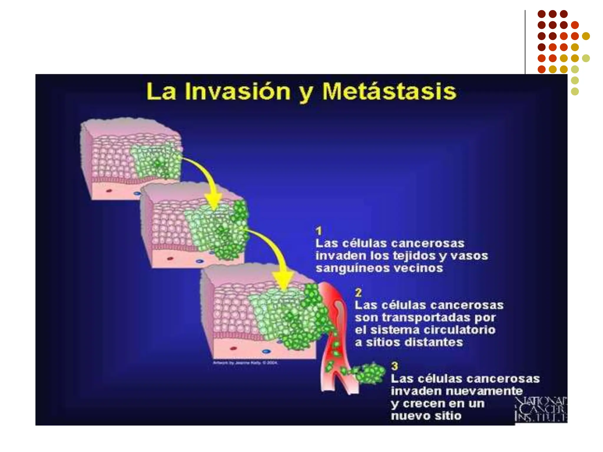 cancer.pptImportancia de la Nutrición en Personas con VIH ...