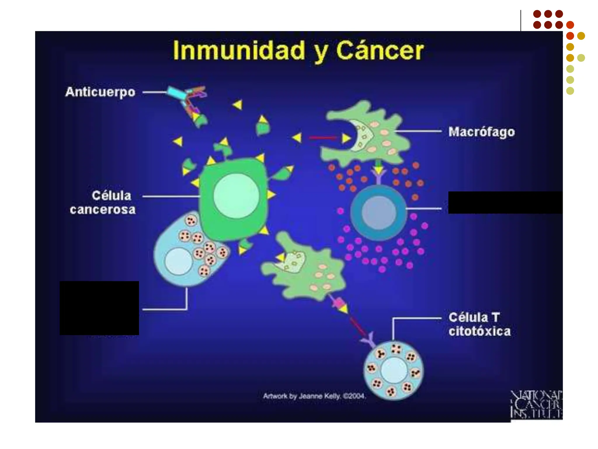 cancer.pptImportancia de la Nutrición en Personas con VIH ...