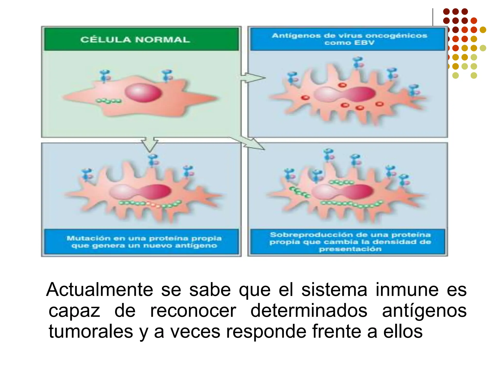 cancer.pptImportancia de la Nutrición en Personas con VIH ...