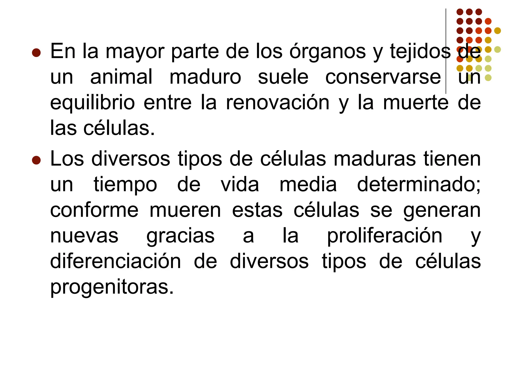 cancer.pptImportancia de la Nutrición en Personas con VIH ...