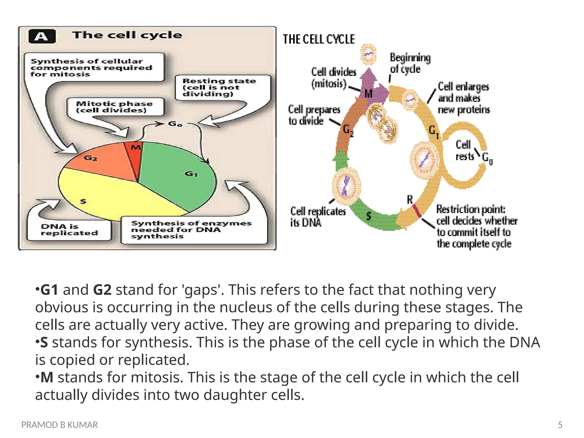 Classification,MOA.STRUCTURES OF ANTICANCER DRUGS | PPTX