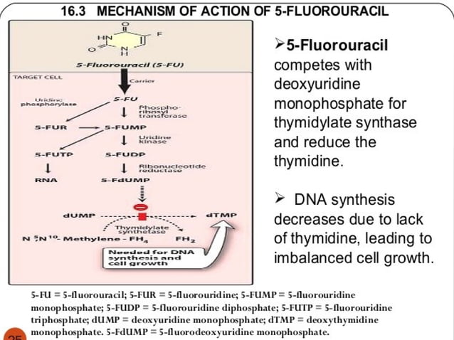 Classification,MOA.STRUCTURES OF ANTICANCER DRUGS | PPTX