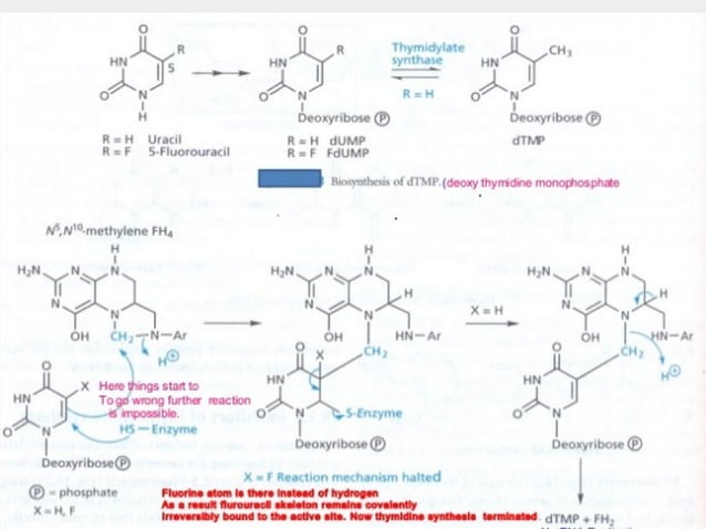 Classification,MOA.STRUCTURES OF ANTICANCER DRUGS | PPTX