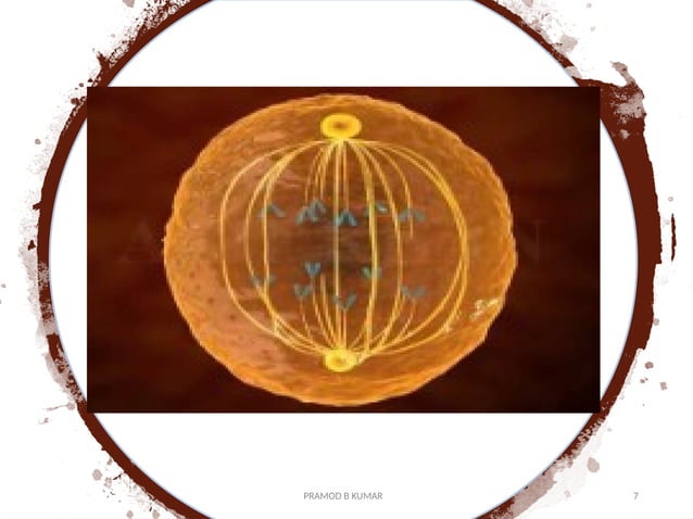 Classification,MOA.STRUCTURES OF ANTICANCER DRUGS | PPTX