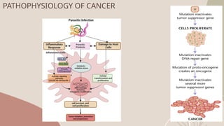 cancer, Benign Tumors, Malignant Tumors, Metastasis | PPTX