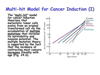 cancer and its application in tissue engineering | PPT