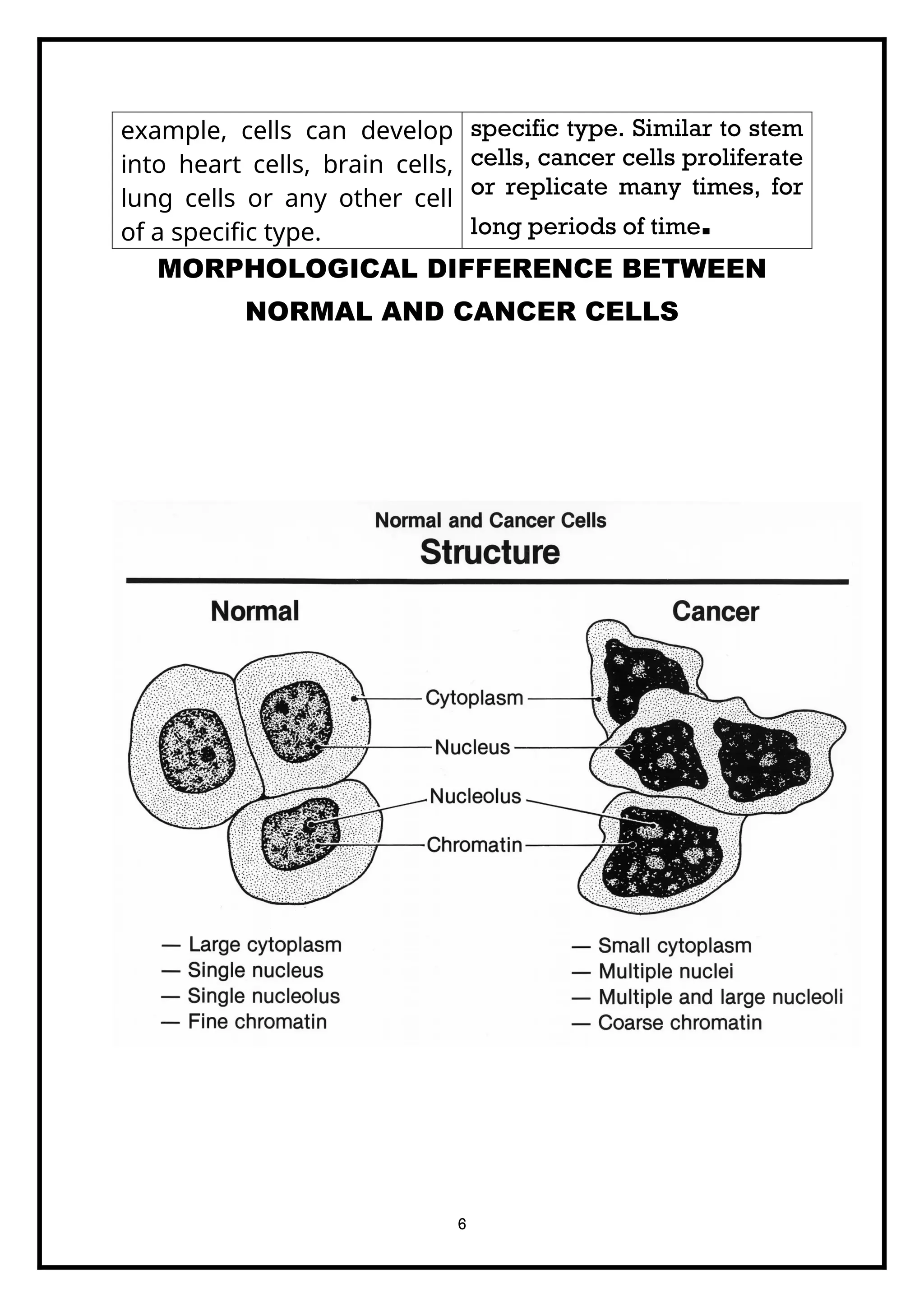 Class 12 biology project on the topic cancer | DOCX