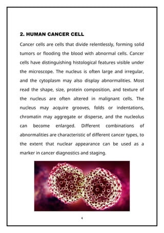 Class 12 biology project on the topic cancer | DOCX