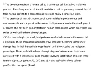 cancer and biology of cancer. carcinogenesis | PPTX