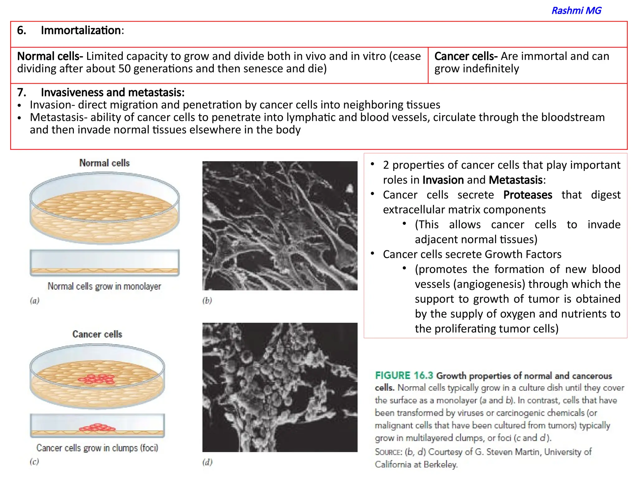 Cancer Biology (Introduction, features of cancer cells, properties of ...