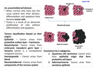 Cancer Biology (Introduction, features of cancer cells, properties of ...