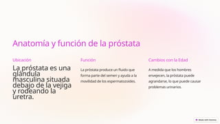 Cancer-de-prostata-Entendiendo-esta-enfermedad.pptx