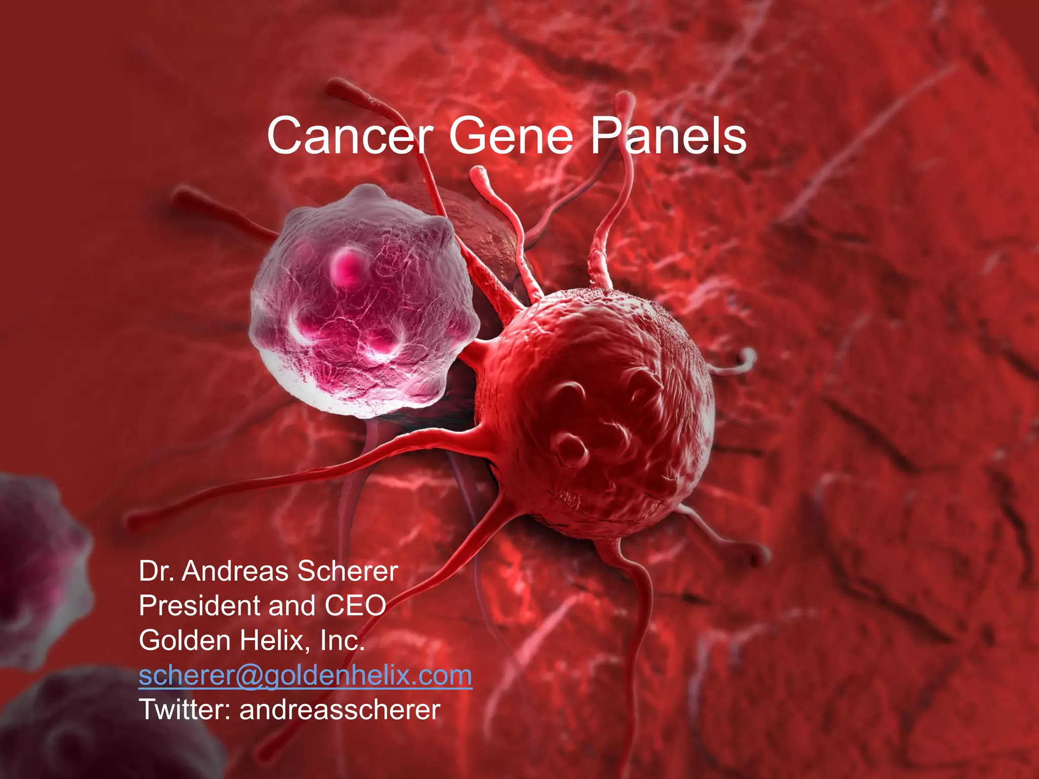 Cancer Gene Panels | PDF