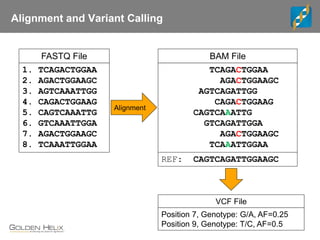 Cancer Gene Panels | PDF