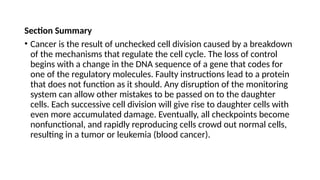 Cancer-powerpoint-Cell and Molecular Biology | PPTX