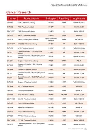 Cancer Research Antibodies - Elabscience | PDF