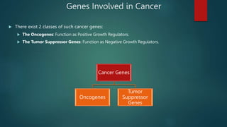 Cancer (Concept of oncogenes and tumor suppressor genes with special ...