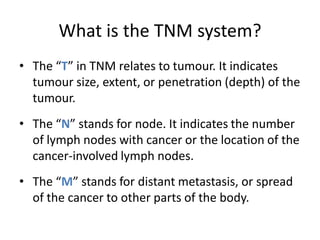 Cancer Staging | PDF