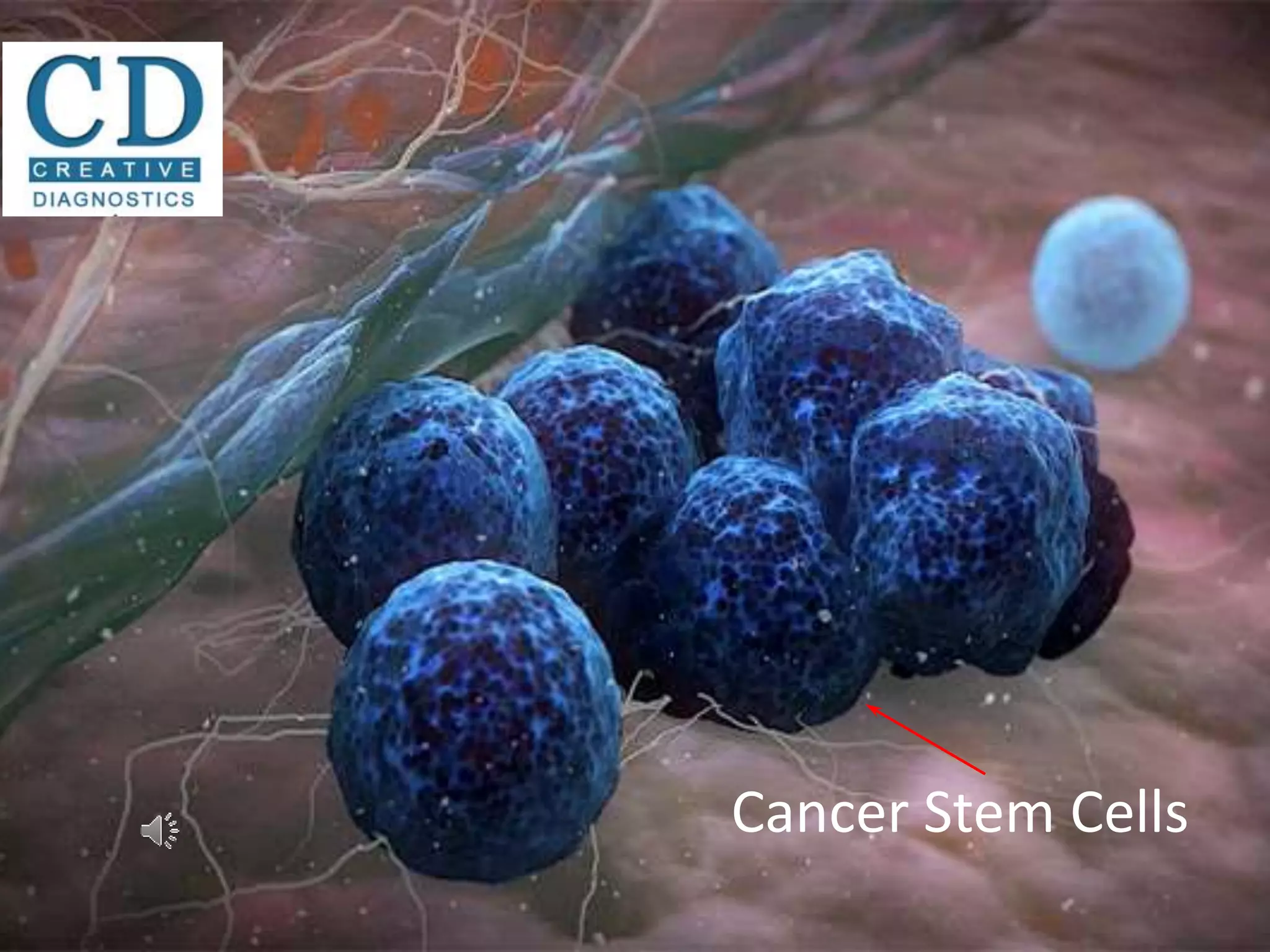 Cancer stem-cells-creative-diagnostics | PPTX