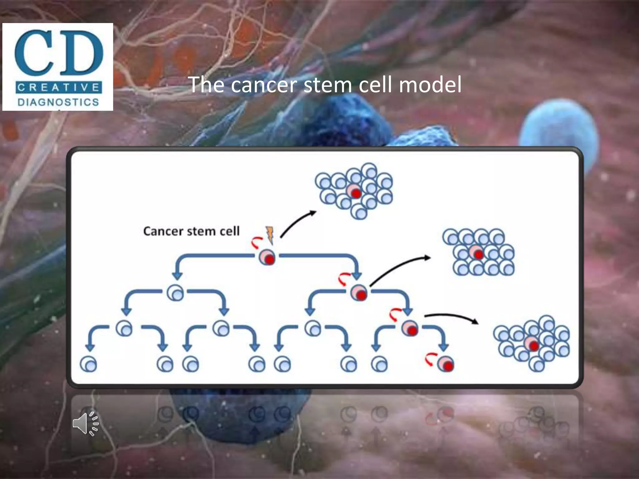 Cancer stem-cells-creative-diagnostics | PPT